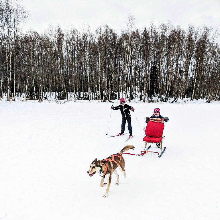 Kicksled Alaska - How to Kicksled