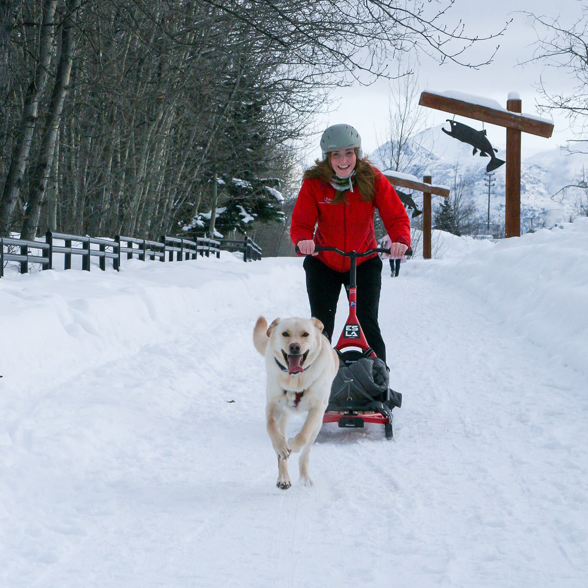 Adventure Sled – Kicksled Alaska