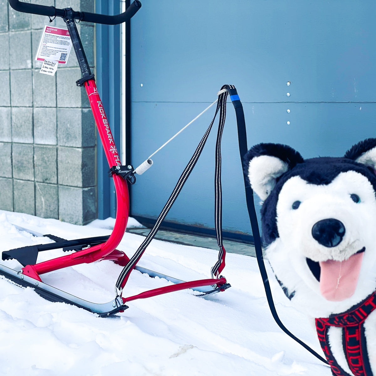Kickspark Dog Kit – Kicksled Alaska